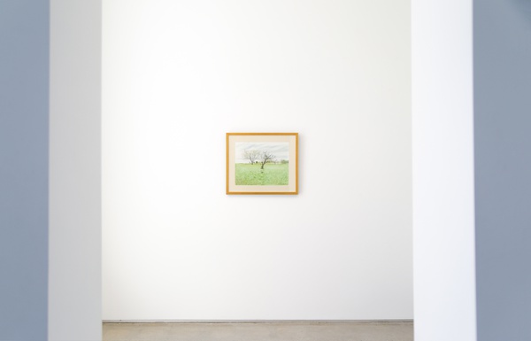 Exhibitions | Tufenkian Fine Arts